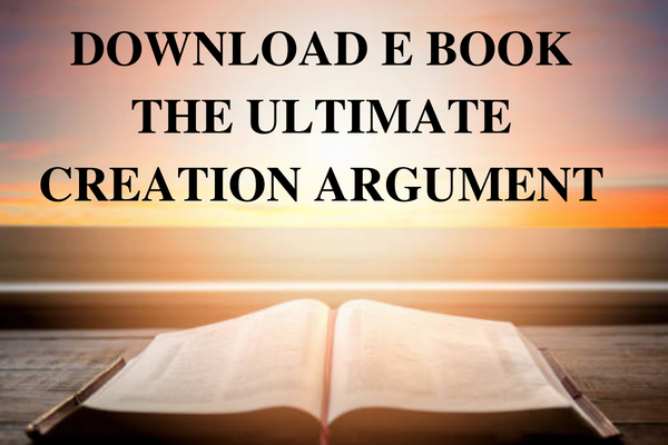 Shop 2 | Earthlastday